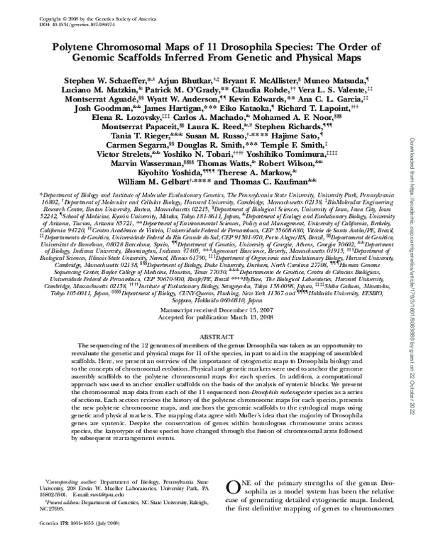 (PDF) Polytene Chromosomal Maps of 11 Drosophila Species: The Order of ...