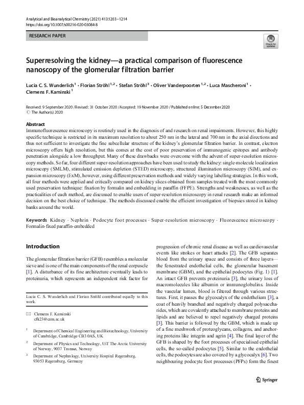 (PDF) Superresolving the kidney—a practical comparison of fluorescence ...