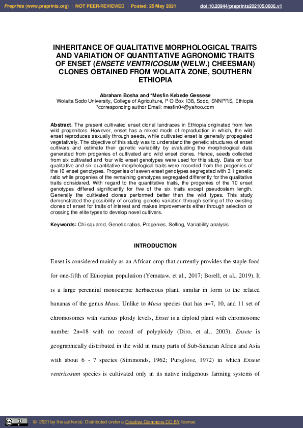 (PDF) Genetic Variability in Enset Clones from Southern Ethiopia (PDF) Genetic Variability in Enset Clones from Southern Ethiopia