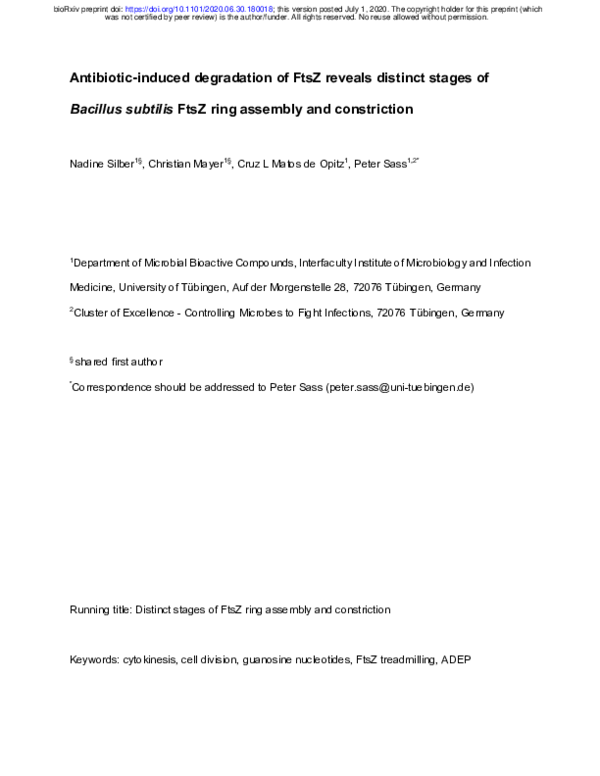 (PDF) Antibiotic-induced degradation of FtsZ reveals distinct stages of ...