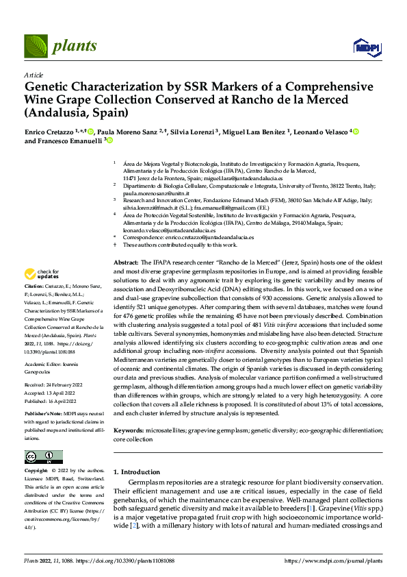 (PDF) Genetic Characterization by SSR Markers of a Comprehensive Wine ...