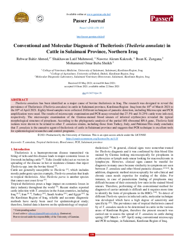 Pdf Conventional And Molecular Diagnosis Of Theileriosis Theileria