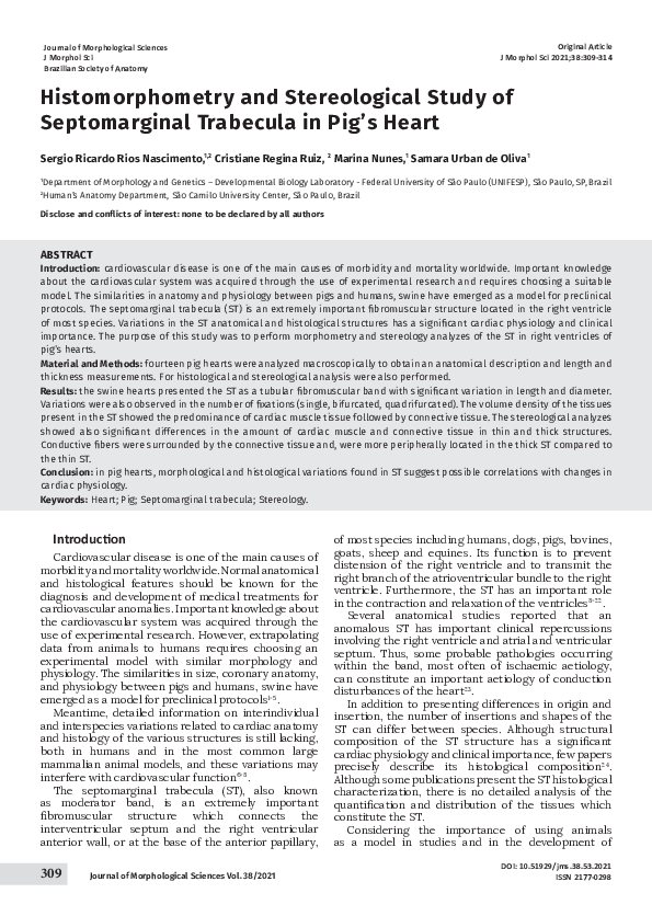 (PDF) Histomorphometry and Stereological Study of Septomarginal ...