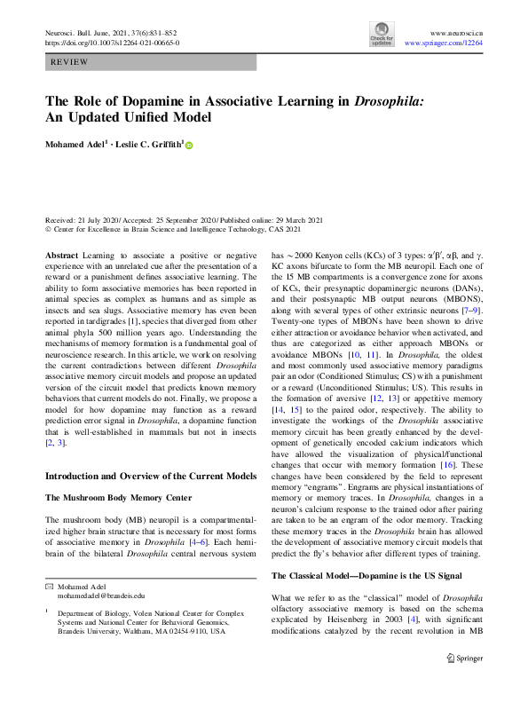 (PDF) The Role of Dopamine in Associative Learning in Drosophila: An ...