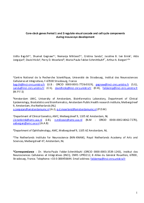 (PDF) Core-clock genes Period 1 and 2 regulate visual cascade and cell ...