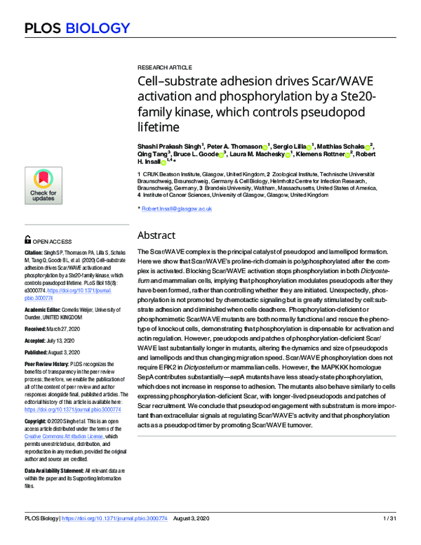 (PDF) Cell–substrate adhesion drives Scar/WAVE activation and ...