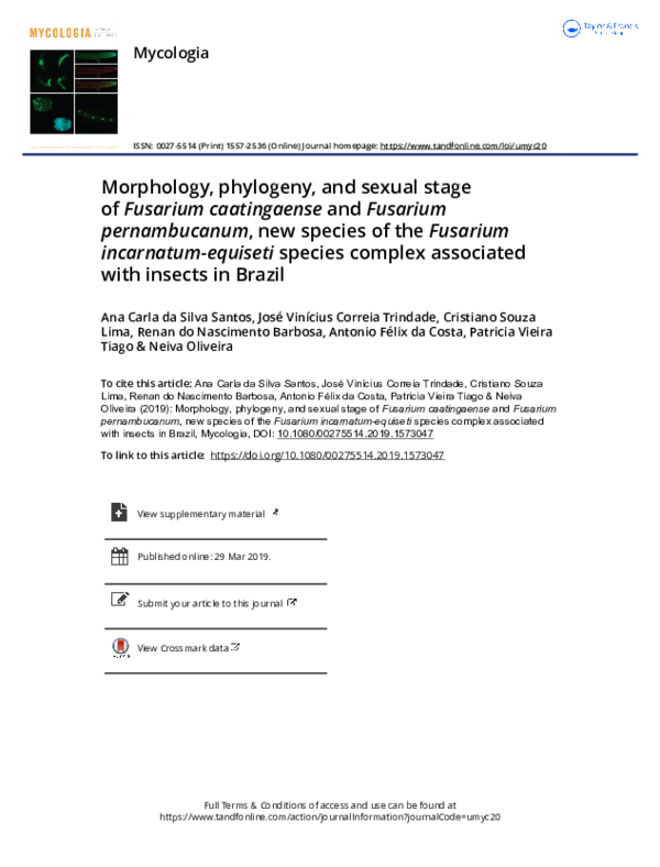 Pdf Morphology Phylogeny And Sexual Stage Offusarium Caatingaenseandfusarium Pernambucanum