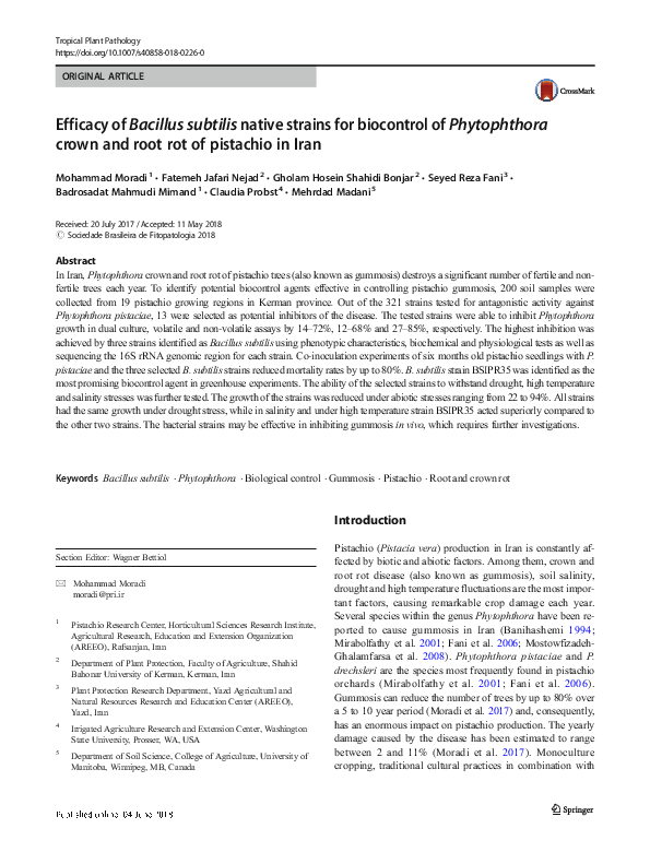 (PDF) Efficacy of Bacillus subtilis native strains for biocontrol of ...