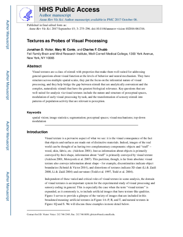 (PDF) Textures as Probes of Visual Processing