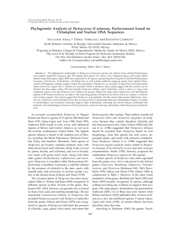 (PDF) Phylogenetic Analysis of Pachycereus (Cactaceae, Pachycereeae) based on Chloroplast and ...