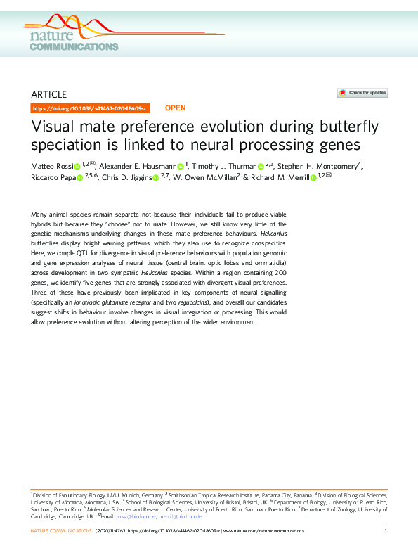 (PDF) Visual mate preference evolution during butterfly speciation is ...