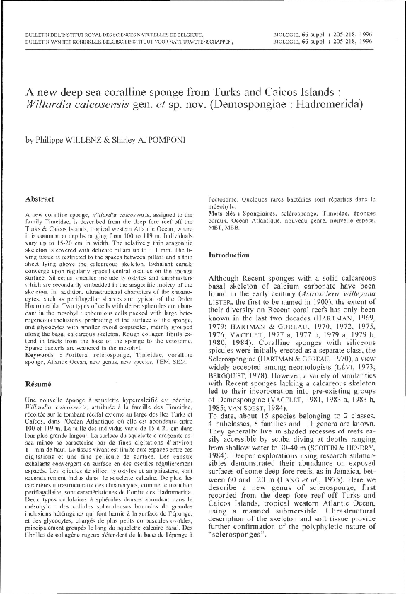 (PDF) A new deep sea coralline sponge from Turks and Caicos Islands ...
