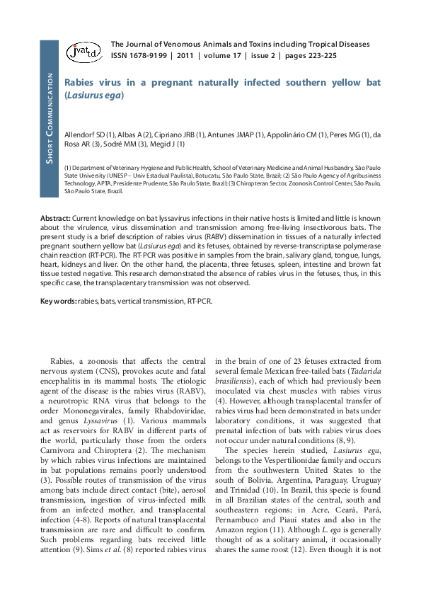 (PDF) Rabies virus in a pregnant naturally infected southern yellow bat ...