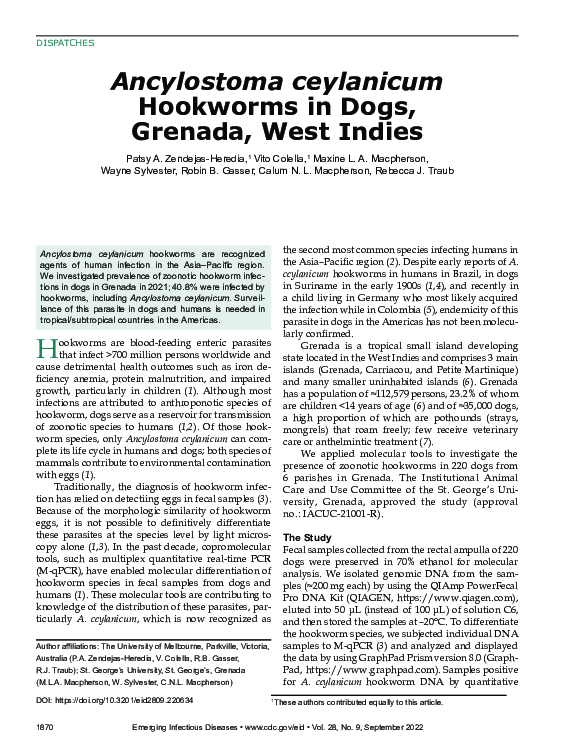 (PDF) Ancylostoma ceylanicum Hookworms in Dogs, Grenada, West Indies