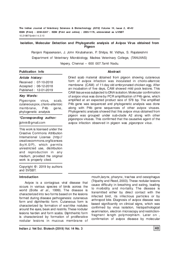 (PDF) Isolation, Molecular Detection and Phylogenetic analysis of ...