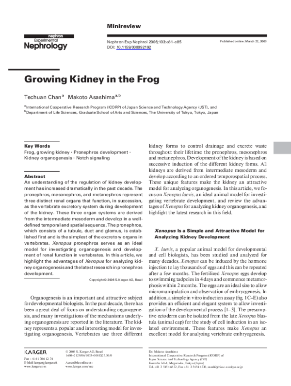 (PDF) Growing Kidney in the Frog | Makoto Asashima - Academia.edu