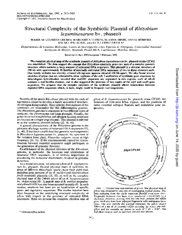 (PDF) Structural complexity of the symbiotic plasmid of Rhizobium leguminosarum bv. phaseoli