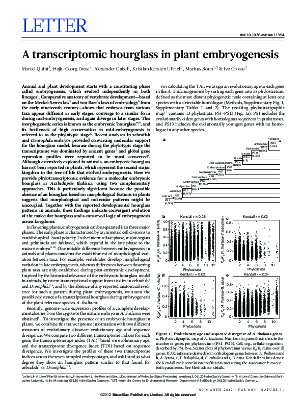 (PDF) A transcriptomic hourglass in plant embryogenesis