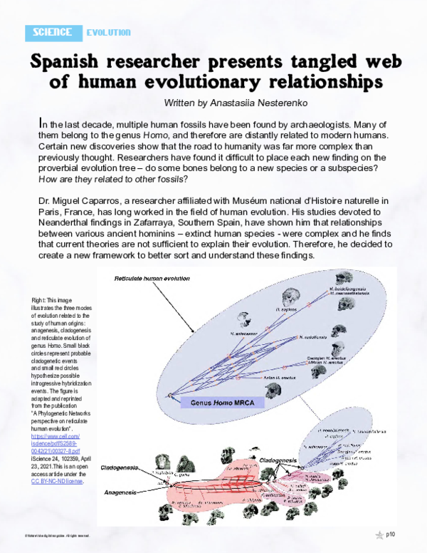 (PDF) Modes of evolution in the study of human origins
