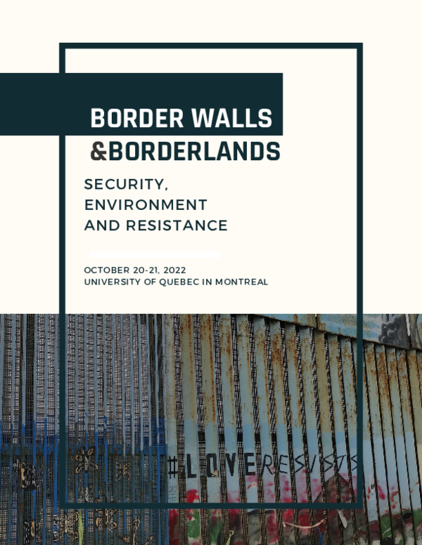 (PDF) Turkey's Migration Control: The Impact of Border Walls