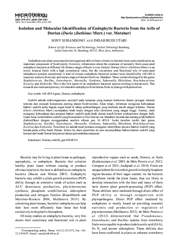 (PDF) Isolation and Molecular Identification of Endophytic Bacteria from Durian Arillus (Durio ...