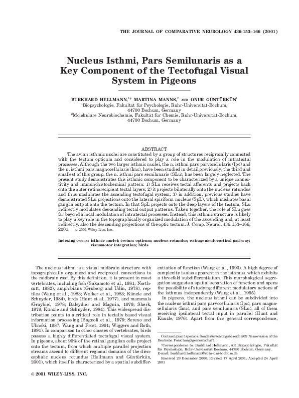 (PDF) Nucleus isthmi, pars semilunaris as a key component of the ...