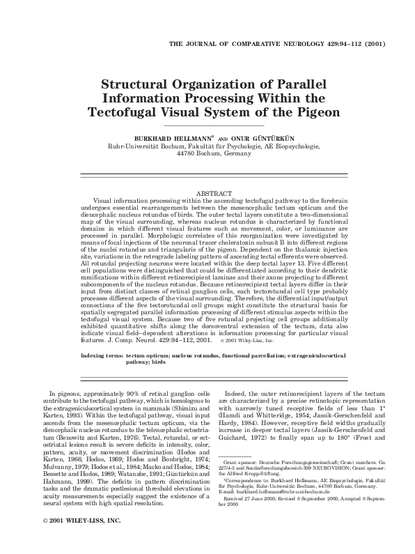 (PDF) Parallel Information Processing in Pigeon Visual System