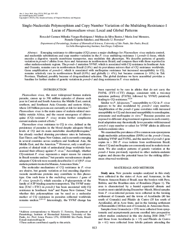 (PDF) Single-Nucleotide Polymorphism and Copy Number Variation of the ...