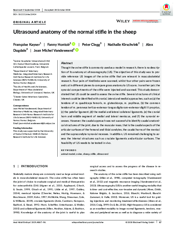 (PDF) Ultrasound anatomy of the normal stifle in the sheep | Fanny ...