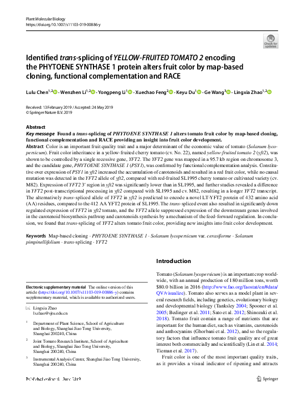 (PDF) Identified trans-splicing of YELLOW-FRUITED TOMATO 2 encoding the ...