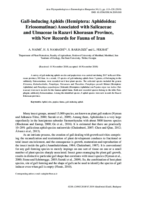 (PDF) Nurudea zhengii Ren and Qiao, A New Species of the Rhus Gall ...