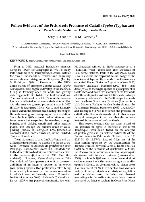 (PDF) Pollen evidence of the prehistoric presence of cattail (Typha ...