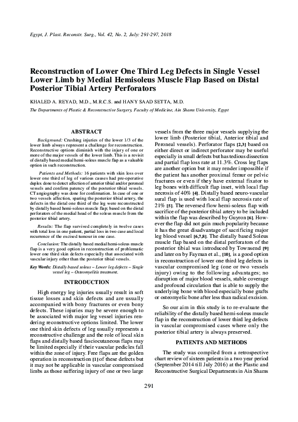 (PDF) Reconstruction of Lower One Third Leg Defects in Single Vessel ...