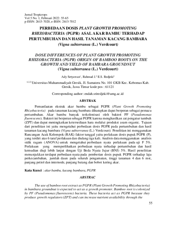 (PDF) PERBEDAAN DOSIS PLANT GROWTH PROMOTING RHIZOBACTERIA (PGPR) ASAL AKAR BAMBU TERHADAP ...
