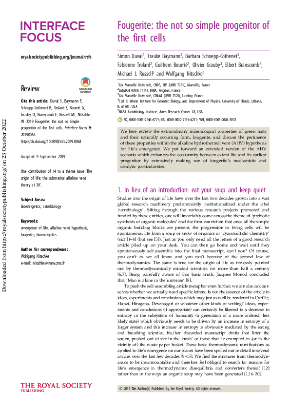 (PDF) Fougerite: the not so simple progenitor of the first cells