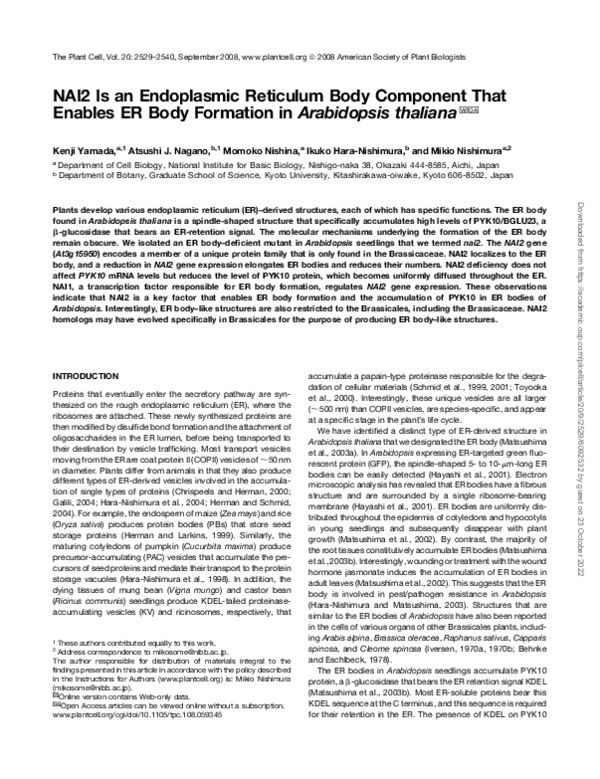 (PDF) NAI2 is an endoplasmic reticulum body component that enables ER ...