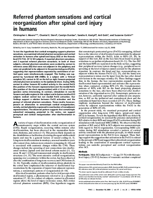 (PDF) Referred phantom sensations and cortical reorganization after spinal cord injury in humans