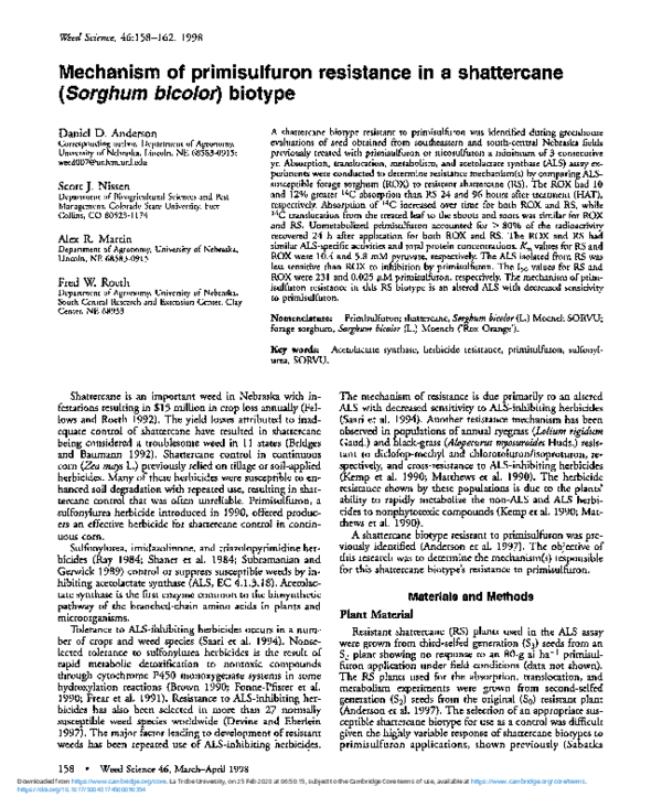 (PDF) Mechanism of primisulfuron resistance in a shattercane (Sorghum ...