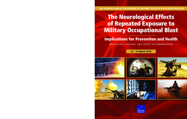(PDF) The Neurological Effects of Repeated Exposure to Military ...