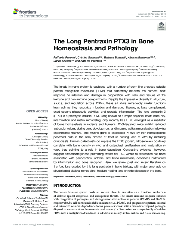 (PDF) The Long Pentraxin PTX3 in Bone Homeostasis and Pathology