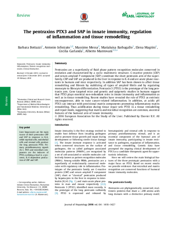 The pentraxins PTX3 and SAP in innate immunity, regulation of inflammation and tissue remodelling