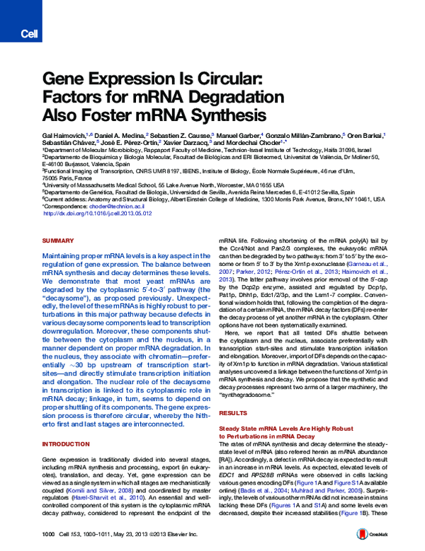 (PDF) Gene Expression Is Circular: Factors for mRNA Degradation Also ...