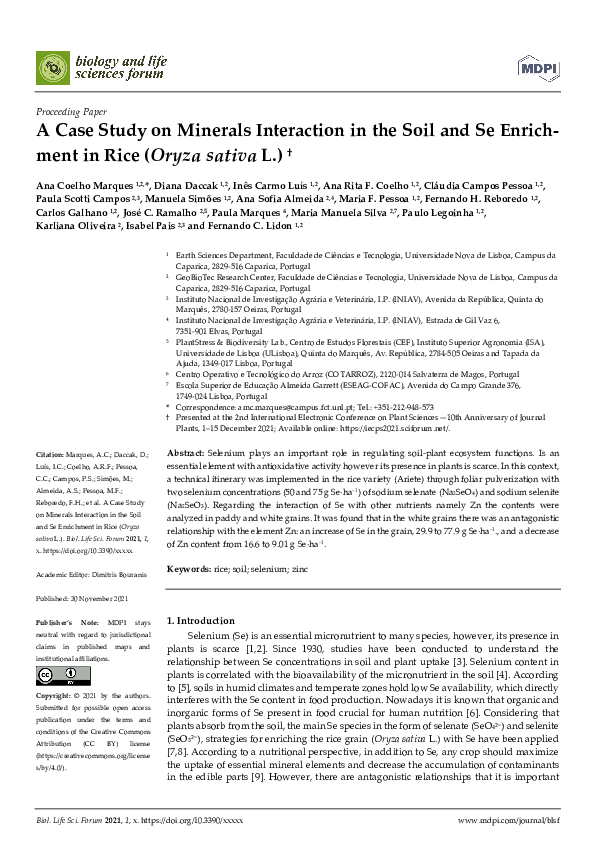 (PDF) A Case Study on Minerals Interaction in the Soil and Se ...