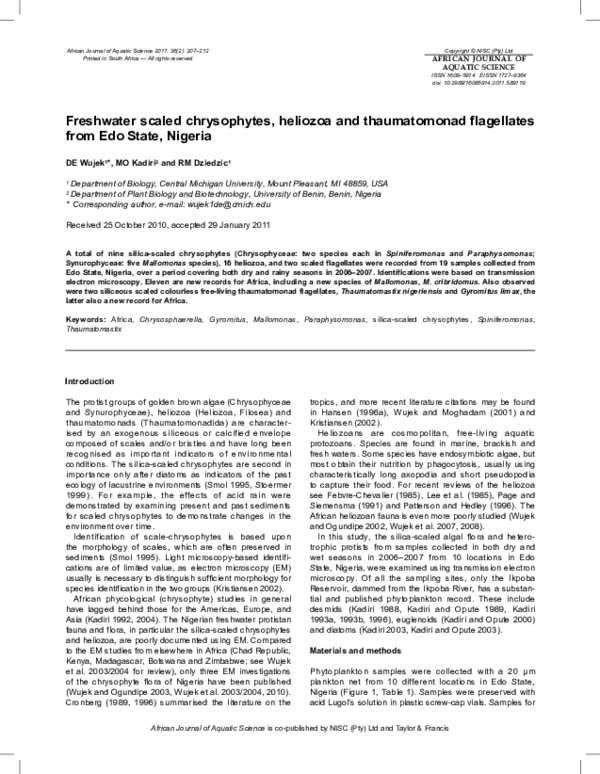 (PDF) Freshwater scaled chrysophytes, heliozoa and thaumatomonad ...