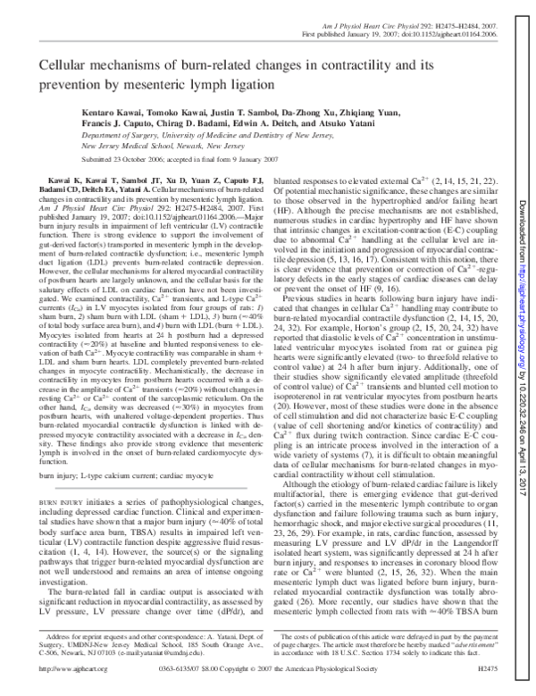 (PDF) Cellular mechanisms of burn-related changes in contractility and ...