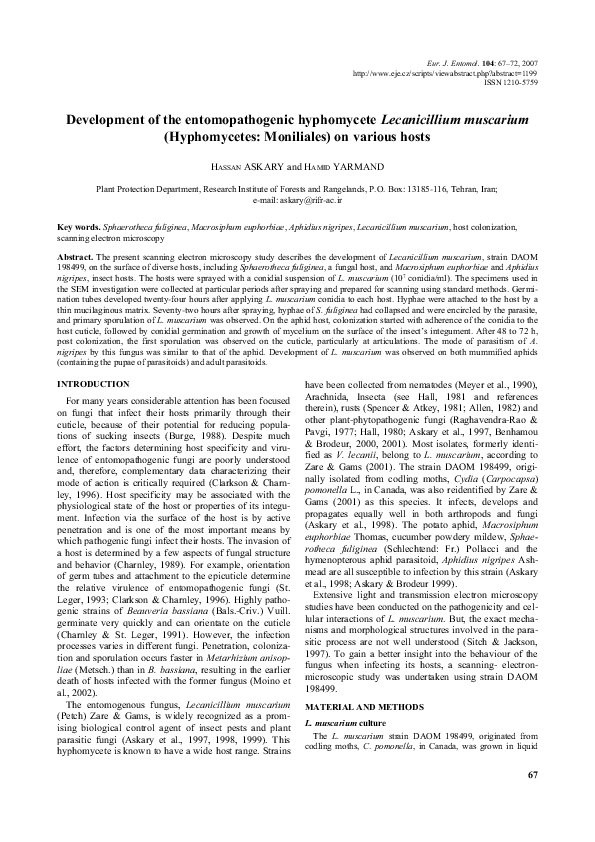 (PDF) Development of the entomopathogenic hyphomycete Lecanicillium ...