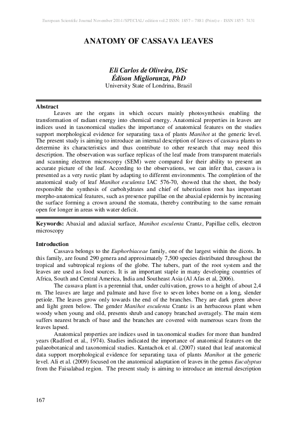(PDF) Anatomy of Cassava Leaves