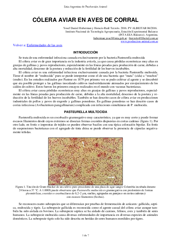 (PDF) Cólera aviar en aves de corral