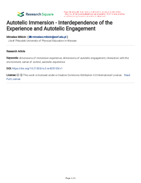 (PDF) Autotelic Immersion - Interdependence of the Experience and ...
