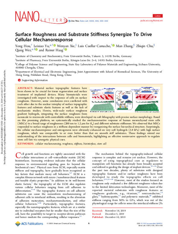 (PDF) Surface Roughness and Substrate Stiffness Synergize To Drive ...